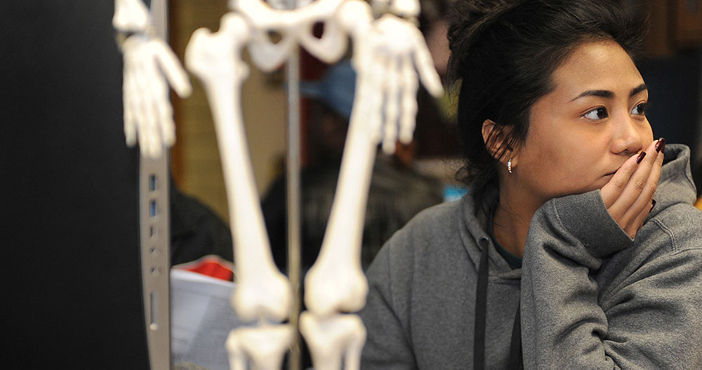 Advising, Career, Transfer Services | Student Life